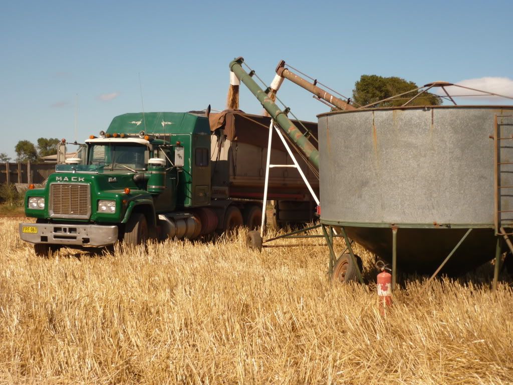 Bogan Gate wheat harvest - Forum - Historic Commercial Vehicle Club of ...